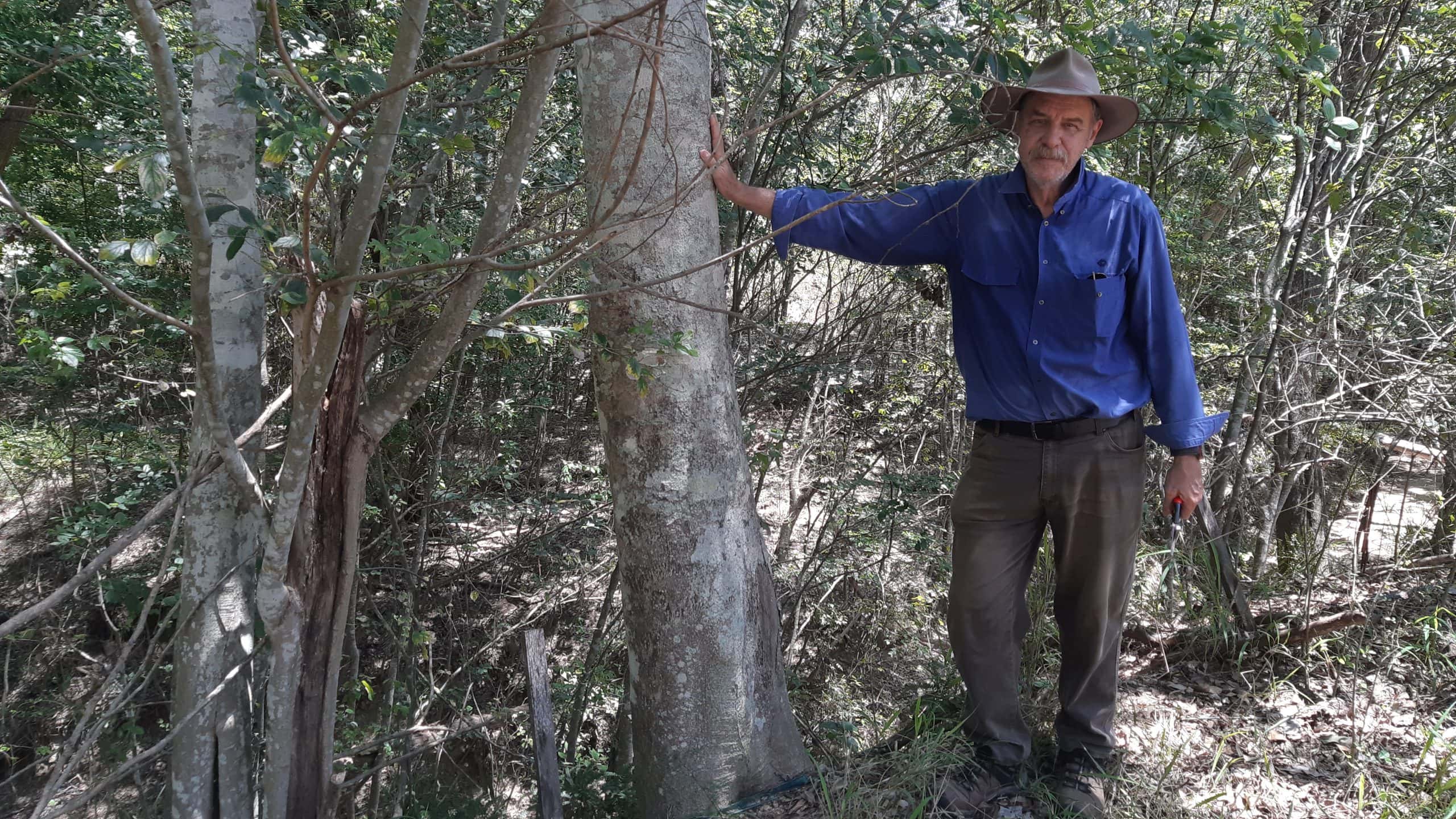 Brookwater residents up in arms about Springview development - The ...