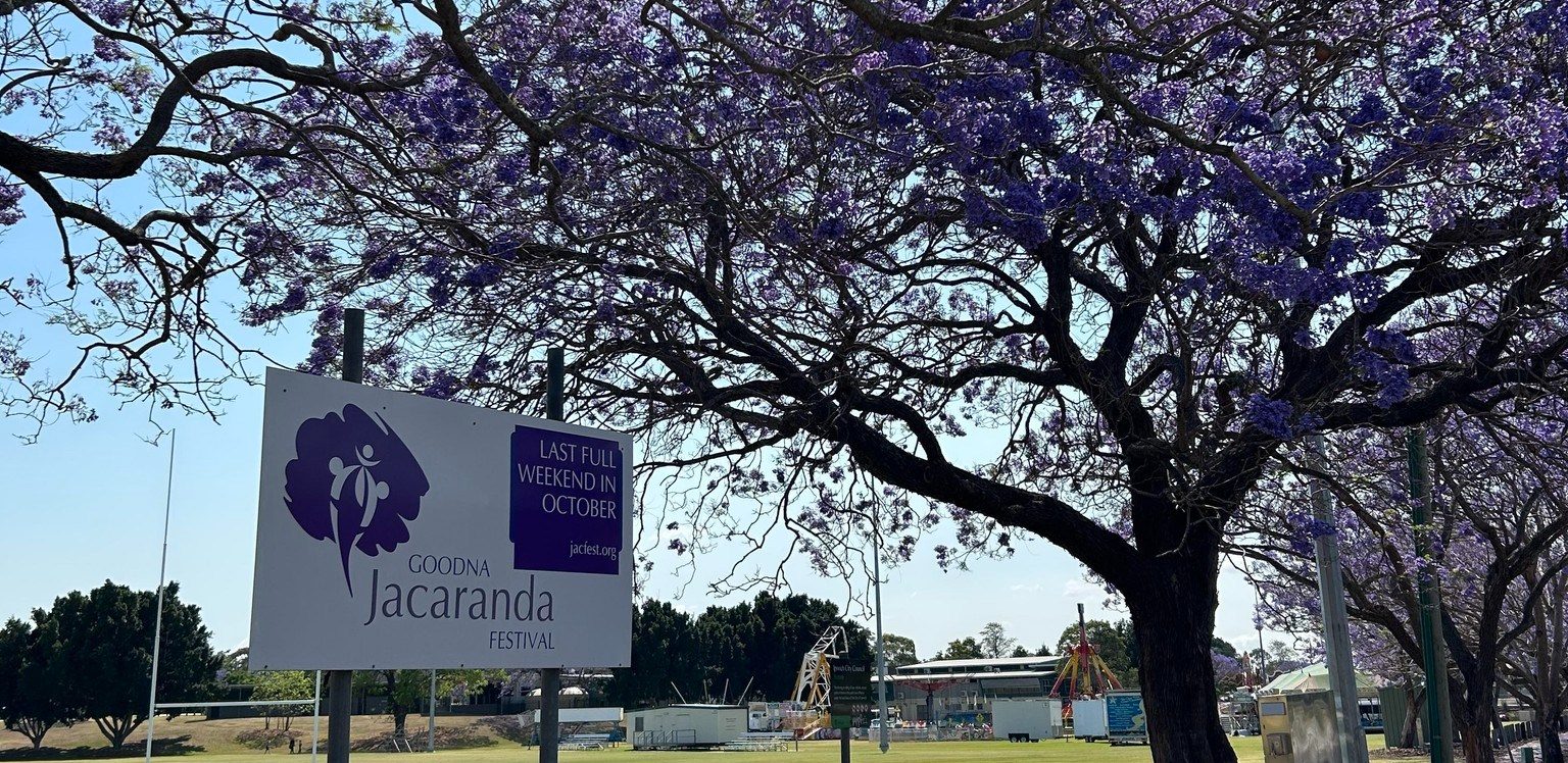 Goodna Jacaranda Festival returns for 2024 - The Greater Springfield Times